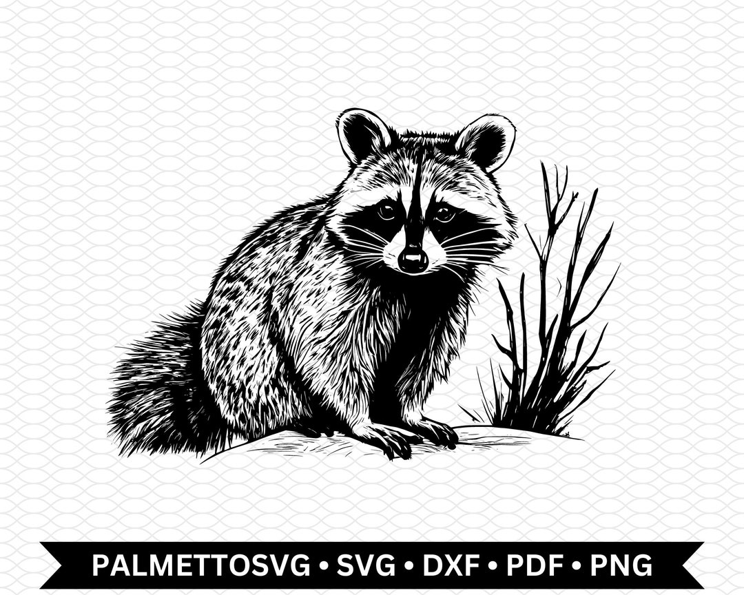 Raccoon Svg, Raccoon Png, Raccoon Dxf File, Raccoon Cut File, Raccoon ...