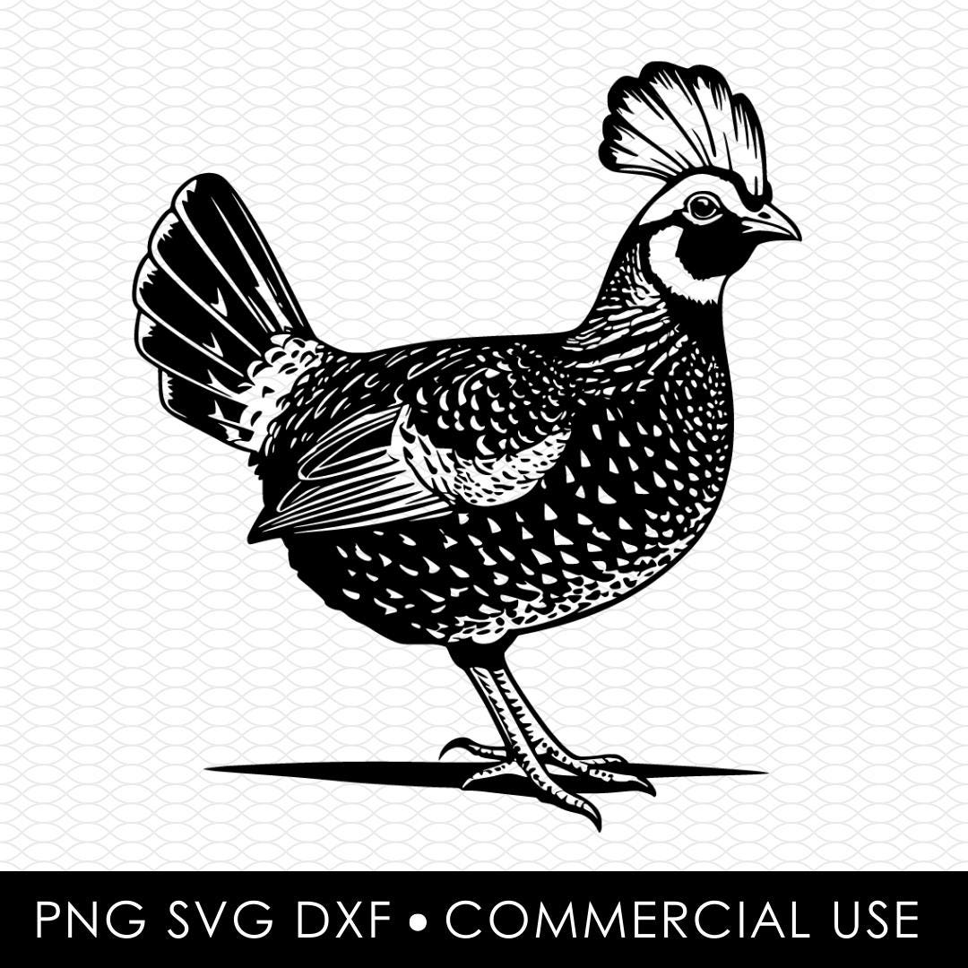 Quail Svg Png, Sublimation Designs, Png Designs, Svg Designs, Laser Cut ...