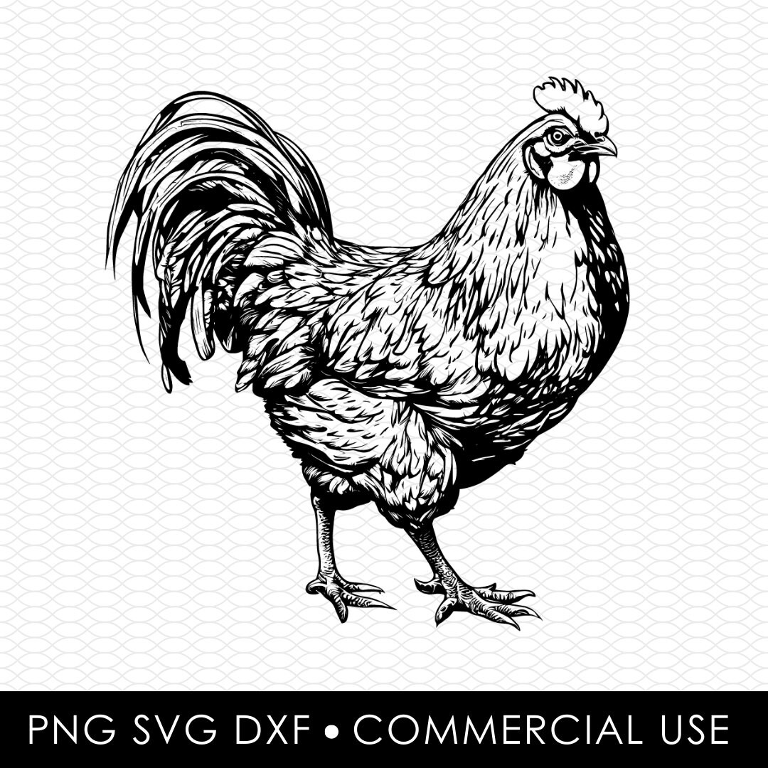 Pollo svg png, diseños de sublimación, diseños png, diseños svg ...