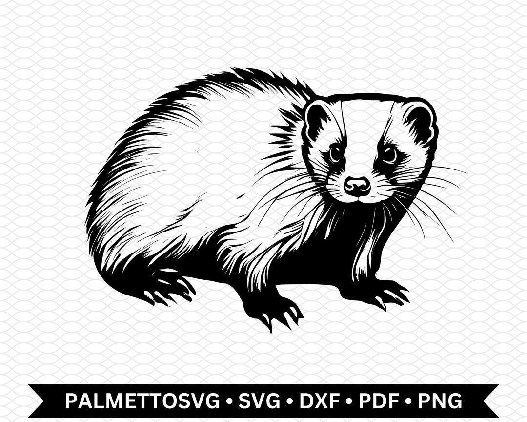 Ferret Svg Png, Sublimation Designs, Png Designs, Svg Designs, Laser ...