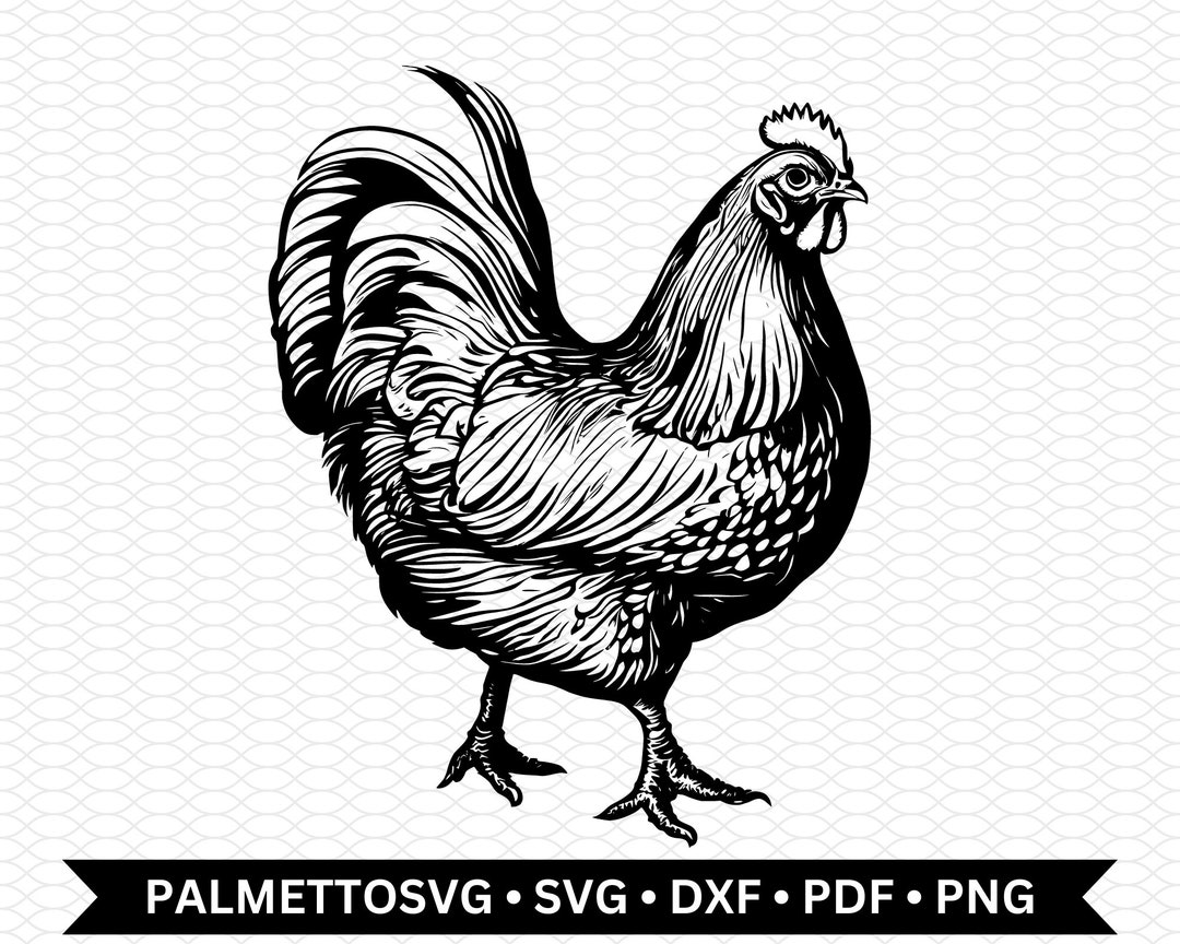 Chicken Svg, Chicken Cut File, Chicken Clip Art, Chicken Dxf, Dxf File ...