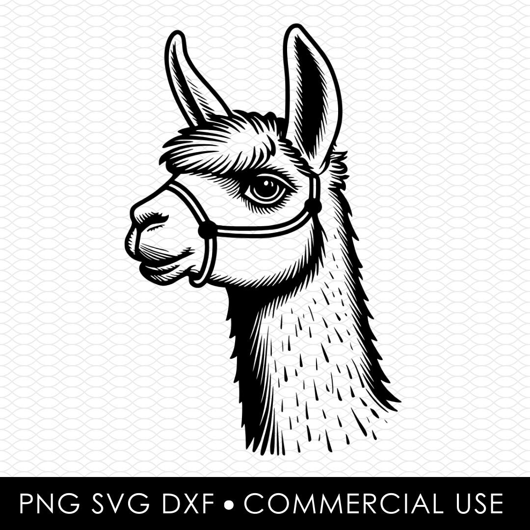Lama svg png , Lama svg , Lama png , Sublimationsentwürfe, Png-Design ...
