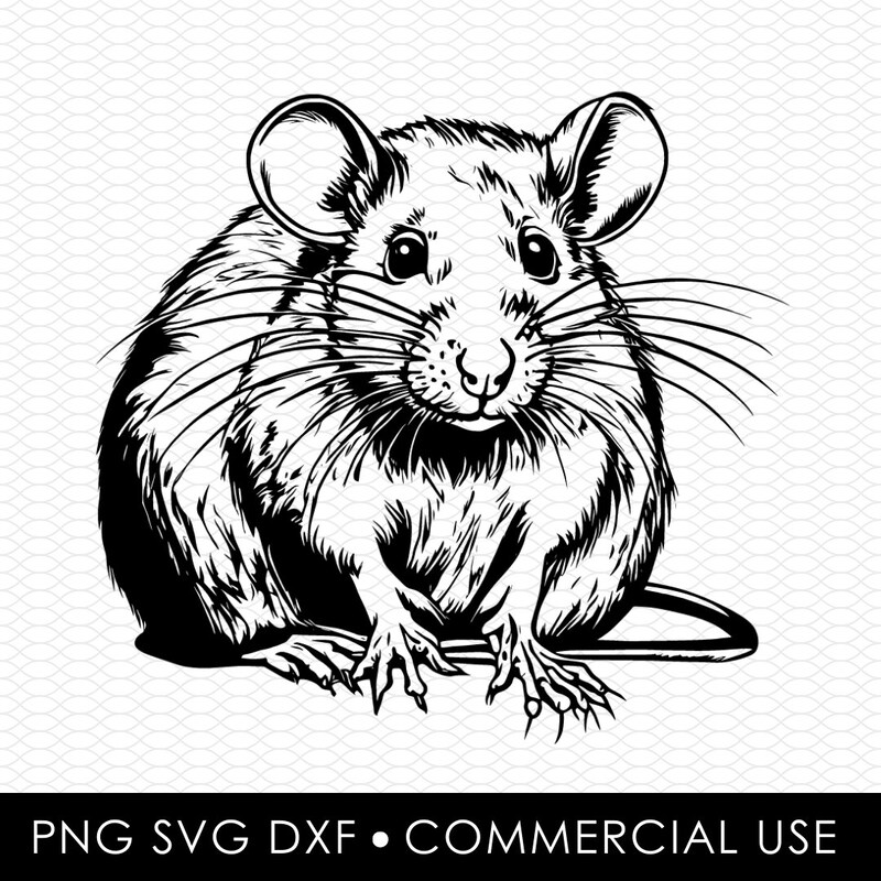 Mouse Rat Svg - Etsy