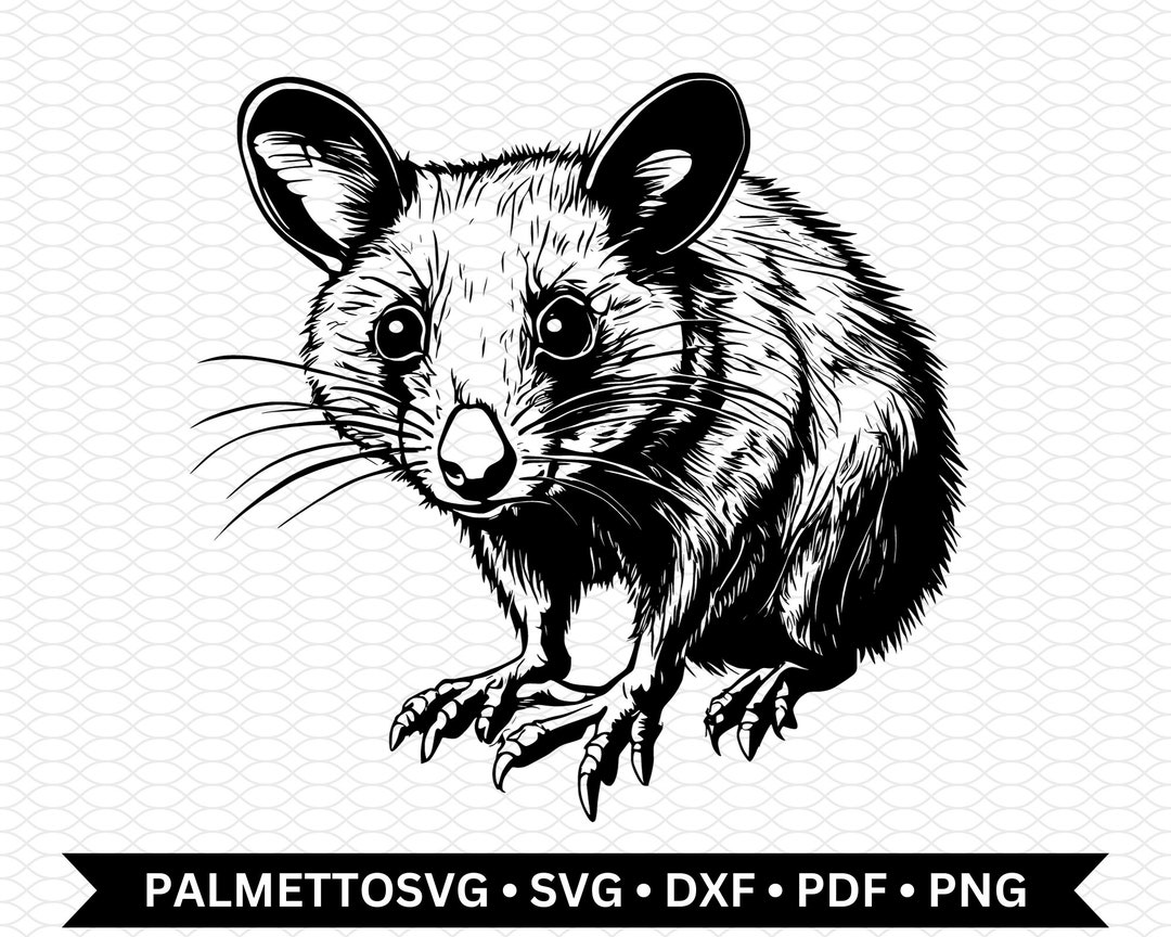 Possum Svg, Possum Png, Possum Dxf File, Possum Cut File, Cricut ...