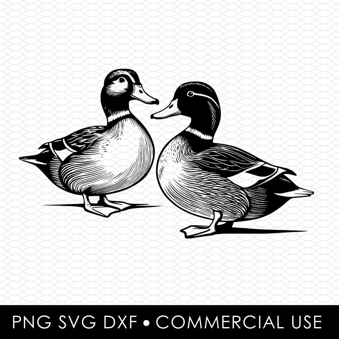 Pato svg png, pato svg, pato png, diseños de sublimación, diseños png ...