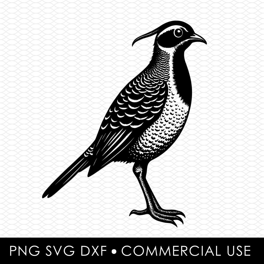 Quail Svg, Quail Png, Quail Dxf, Quail Cut File, Sublimation Designs ...