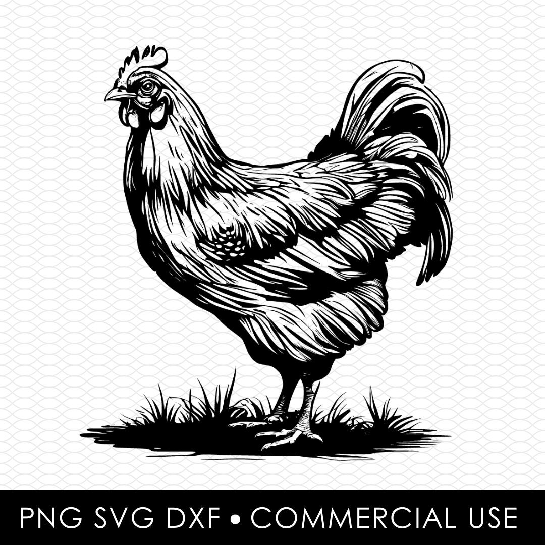 Pollo svg png, diseños de sublimación, diseños png, diseños svg ...