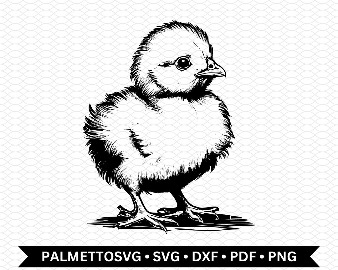 Chick Svg, Chicken Svg, Easter Svg, Chick Svg, Chick Dxf, Svg Files for ...