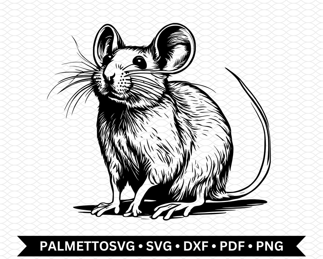 Rat Svg Png, Sublimation Designs, Png Designs, Svg Designs, Laser Cut ...