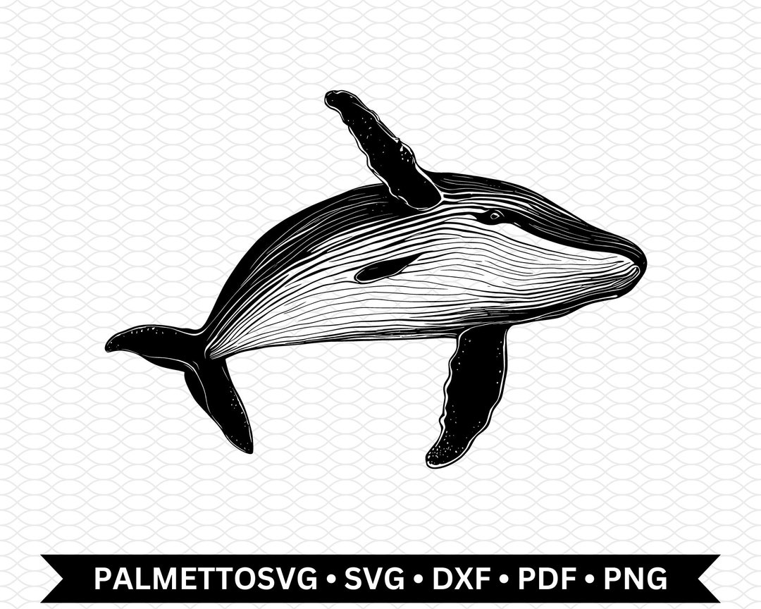 Whale Svg, Whale Dxf File, Whale Cut File, Whale Png, Whale Clip Art ...