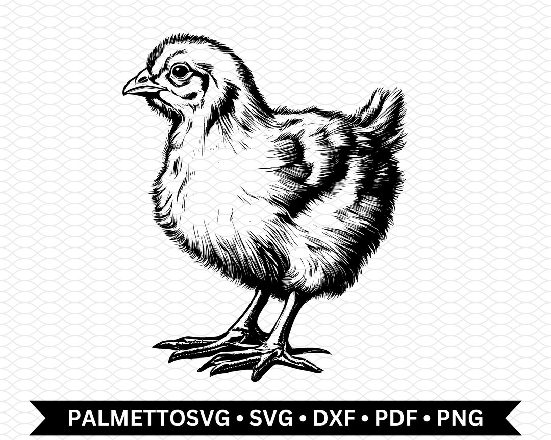 Chick Svg, Chicken Svg, Easter Svg, Chick Svg, Chick Dxf, Svg Files for ...
