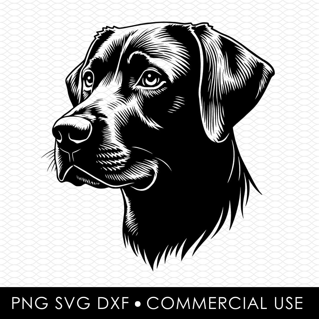 Labrador Svg, Labrador Png, Labrador Cut File, Lab Dxf, Sublimation ...