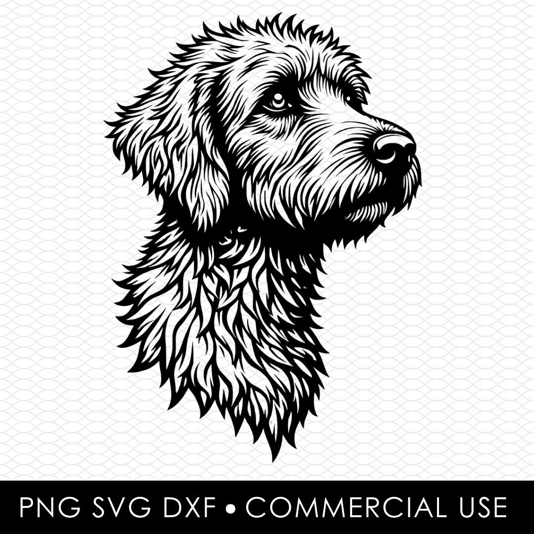 Labradoodle Svg, Labradoodle Png, Labradoodle Cut File, Sublimation ...
