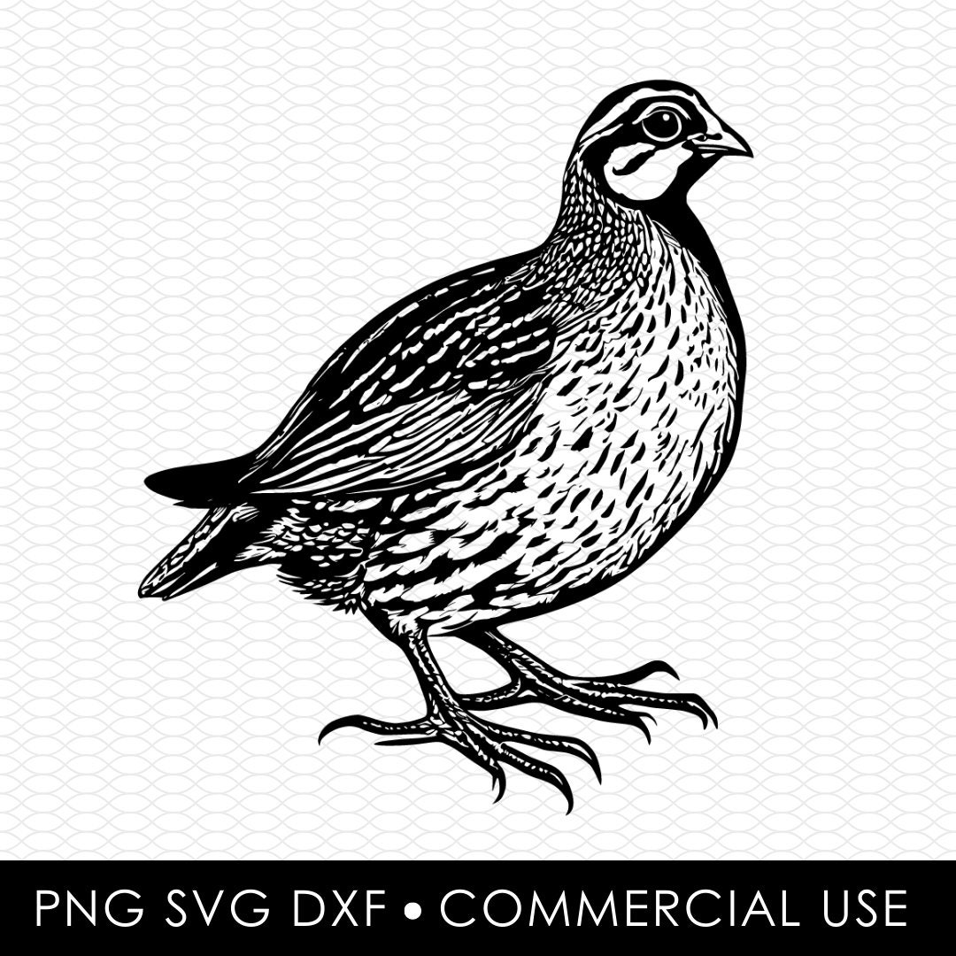 Quail Svg Dxf Png, Laser Cut File, Sublimation Design, Svg Cut File ...