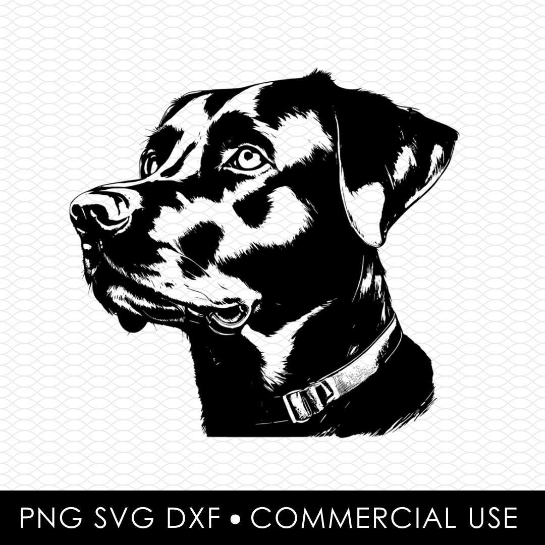 Lab Svg Png, Sublimation Designs, Png Designs, Svg Designs, Laser Cut ...