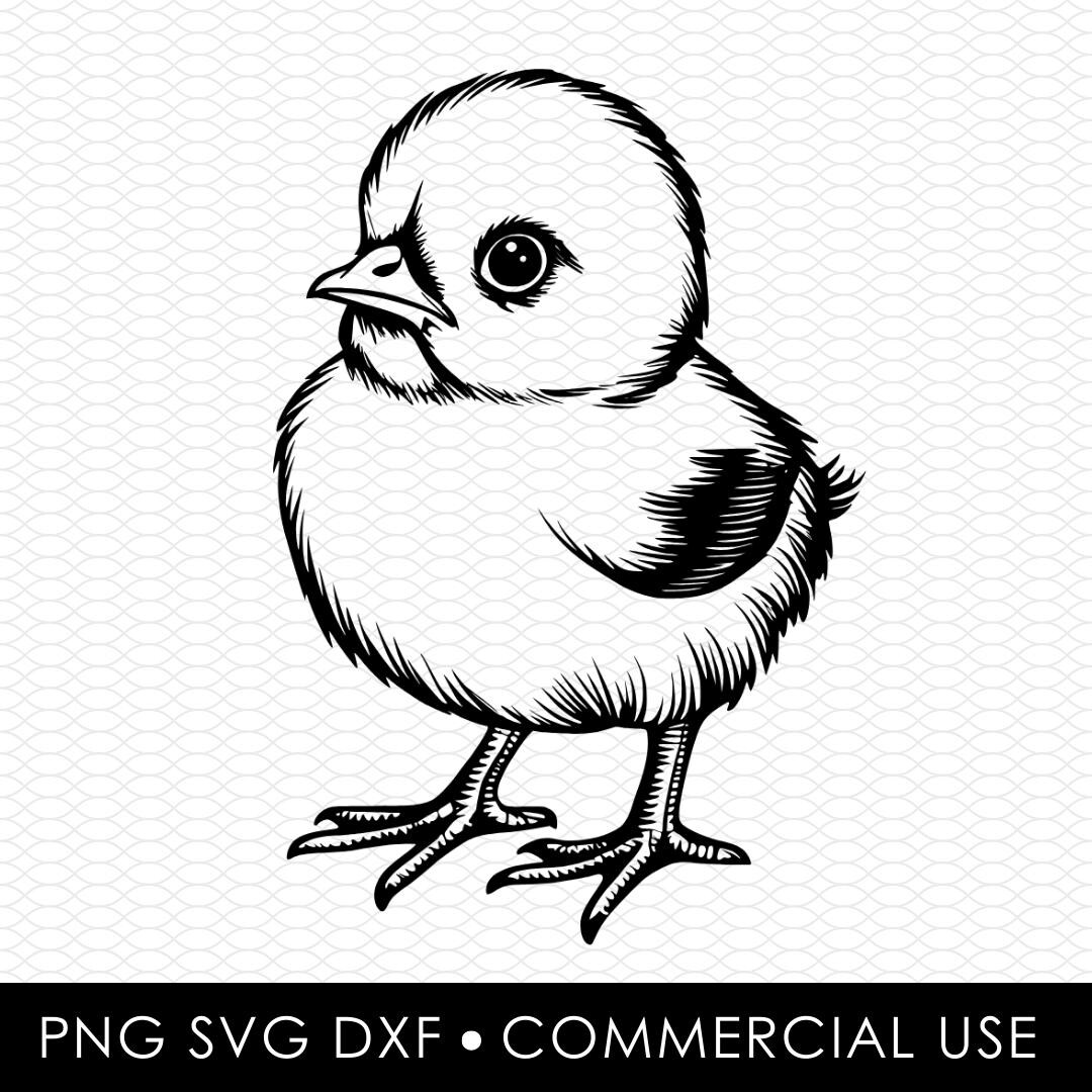 Chick Svg, Chicken Svg, Chick Png, Sublimation Designs, Png Designs ...
