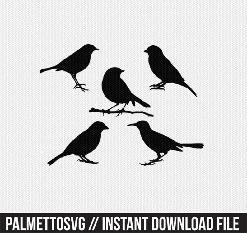 Birds Svg Dxf Jpeg Png File Instant Download Stencil | Etsy