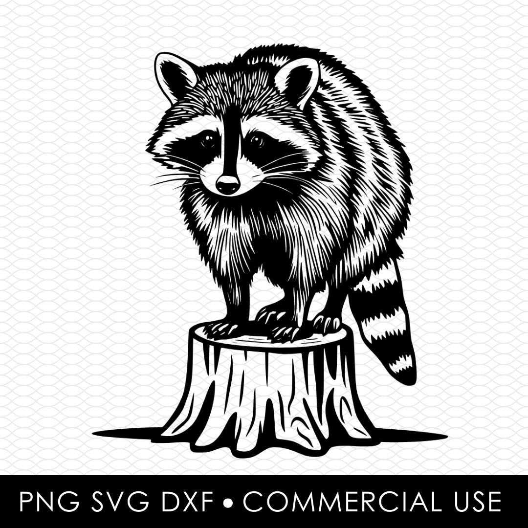 Raccoon Svg, Raccoon Dxf, Raccoon Cut File, Raccoon Png, Sublimation ...