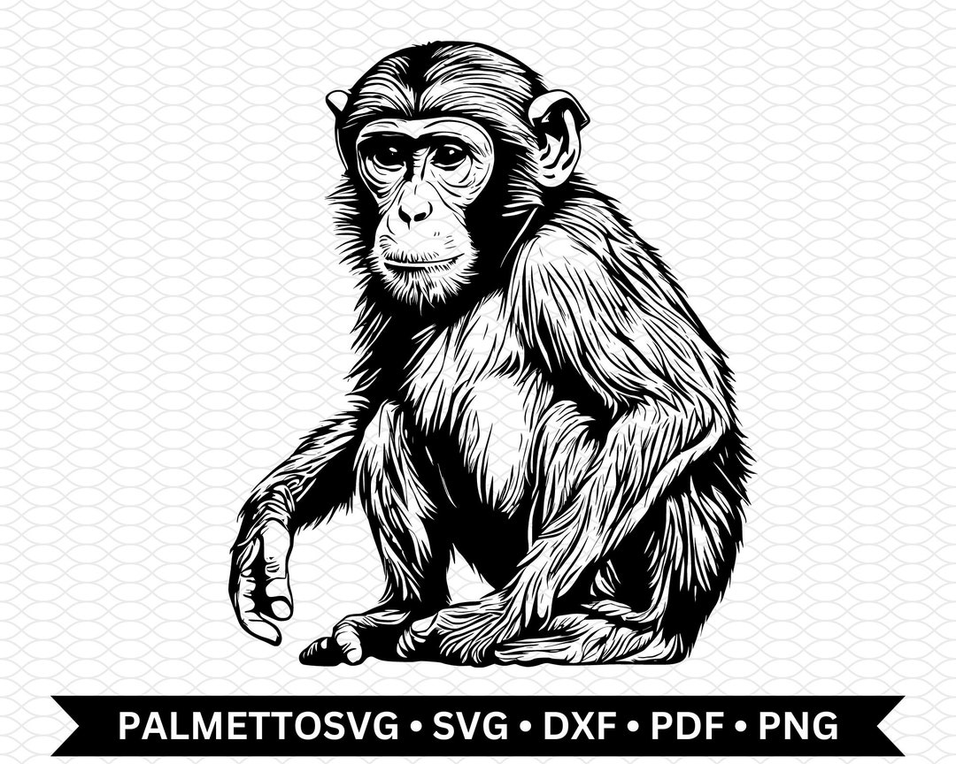 Monkey Svg, Monkey Dxf File, Monkey Cut File, Monkey Png, Monkey Clip ...