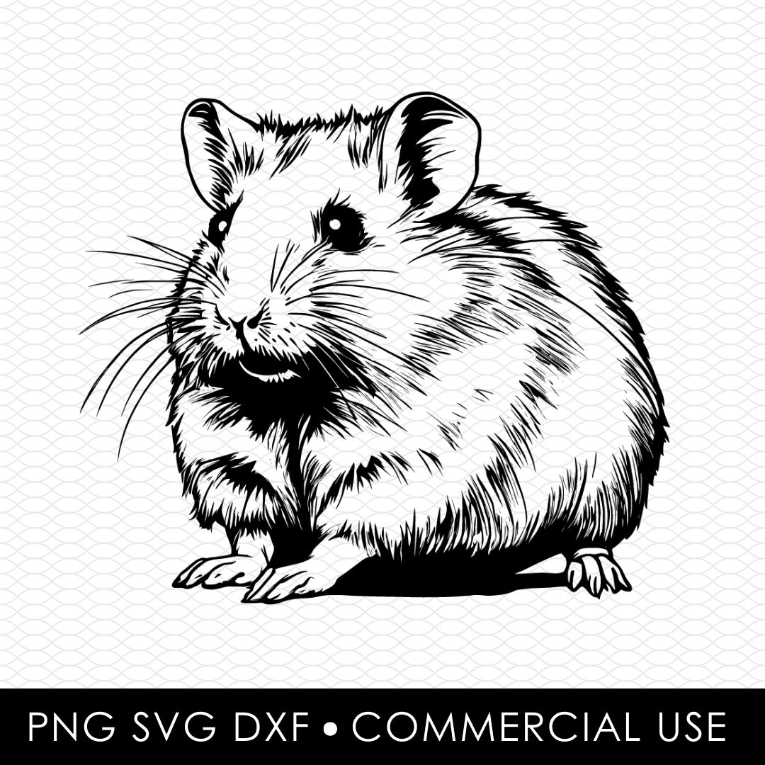 Hamster Svg Png, Sublimation Designs, Png Designs, Svg Designs, Laser ...