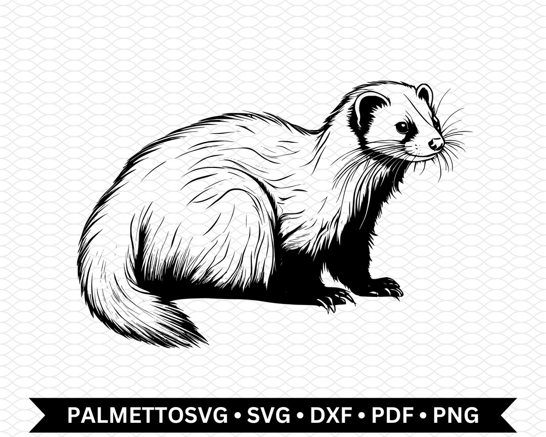 Ferret Svg, Ferret Dxf, Ferret Cut File, Ferret Png, Ferret Clip Art ...
