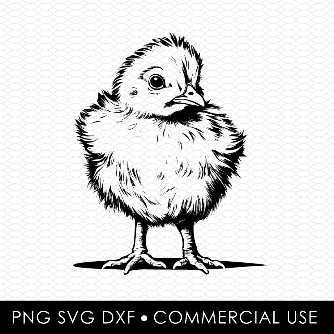 Pintinho svg, frango svg, páscoa svg, pintinho svg, pintinho dxf ...