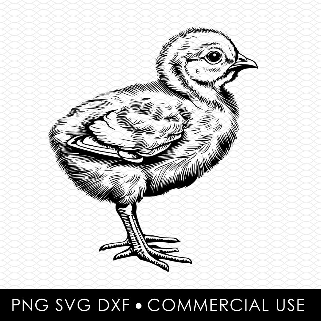 Chick Svg Dxf Png, Laser Cut File, Sublimation Design, Svg Cut File ...