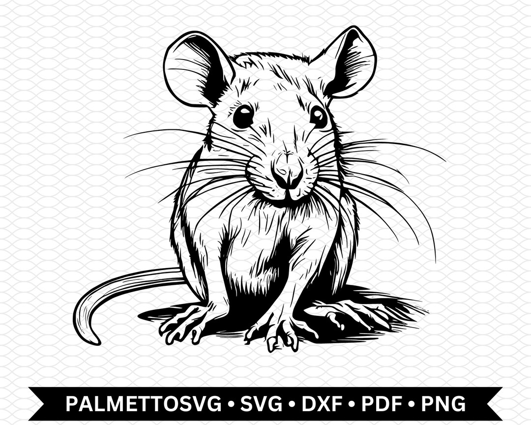 Mouse Svg, Mouse Dxf File, Mouse Cut File, Mouse Png, Mouse Clip Art ...