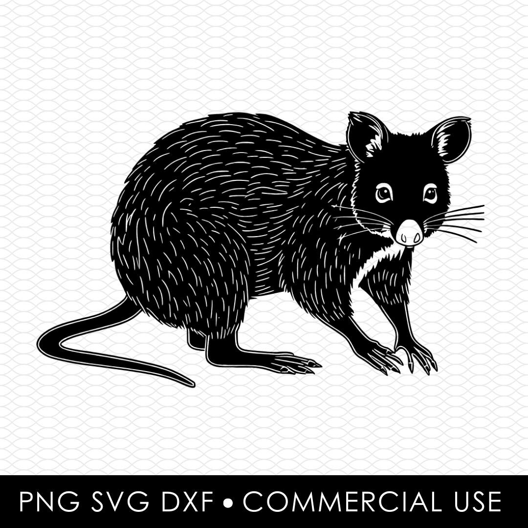 Possum Svg Png, Possum Svg, Possum Png, Possum Dxf, Sublimation Designs ...