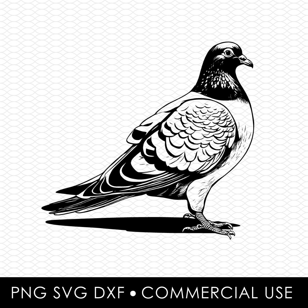 Pigeon Svg Png, Sublimation Designs, Png Designs, Svg Designs, Laser ...