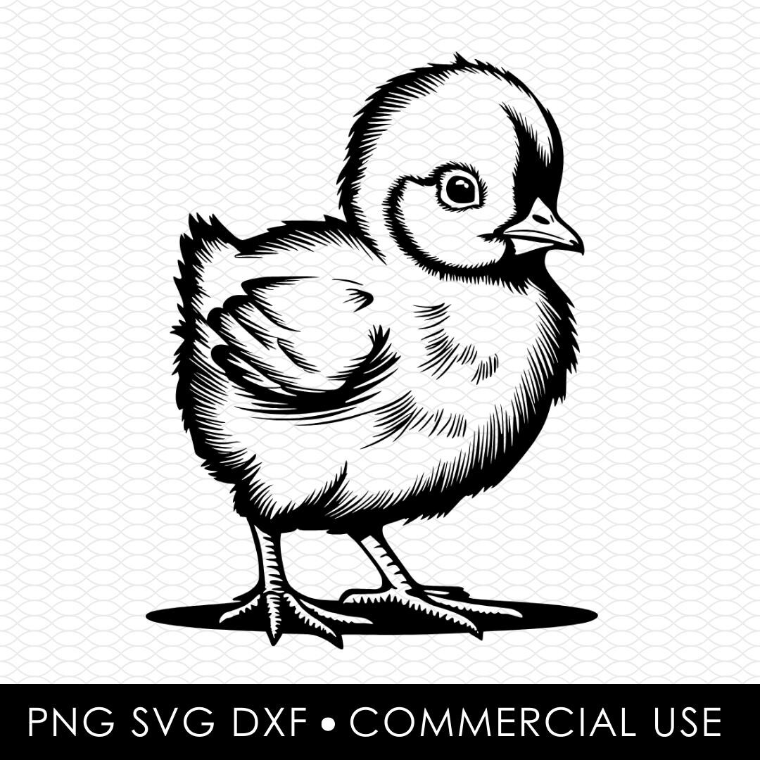 Küken svg, Huhn svg, Küken png, Sublimationsentwürfe, Png-Designs, SVG ...