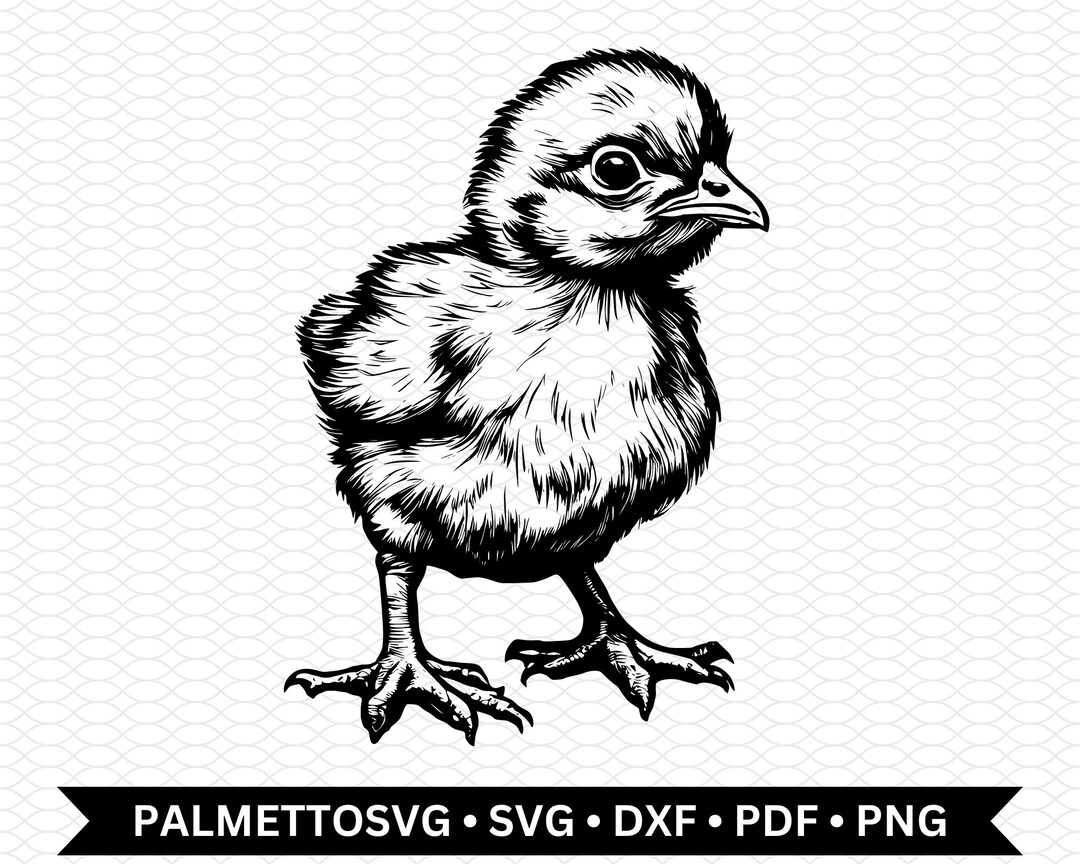 Chick Svg Png, Sublimation Designs, Png Designs, Svg Designs, Laser Cut ...
