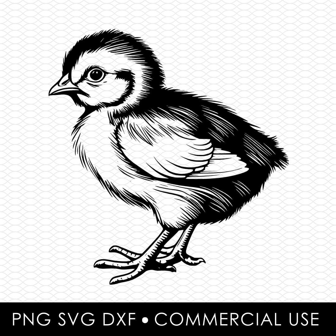 Chick Svg, Chicken Svg, Chick Png, Sublimation Designs, Png Designs ...