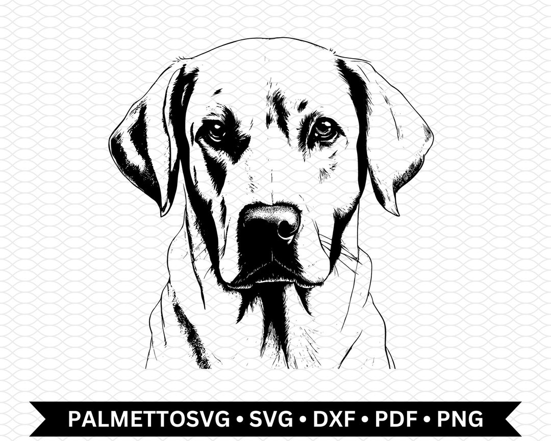 Lab Svg, Lab Dxf File, Lab Cut File, Lab Clip Art, Lab Png, Hunting Dog ...
