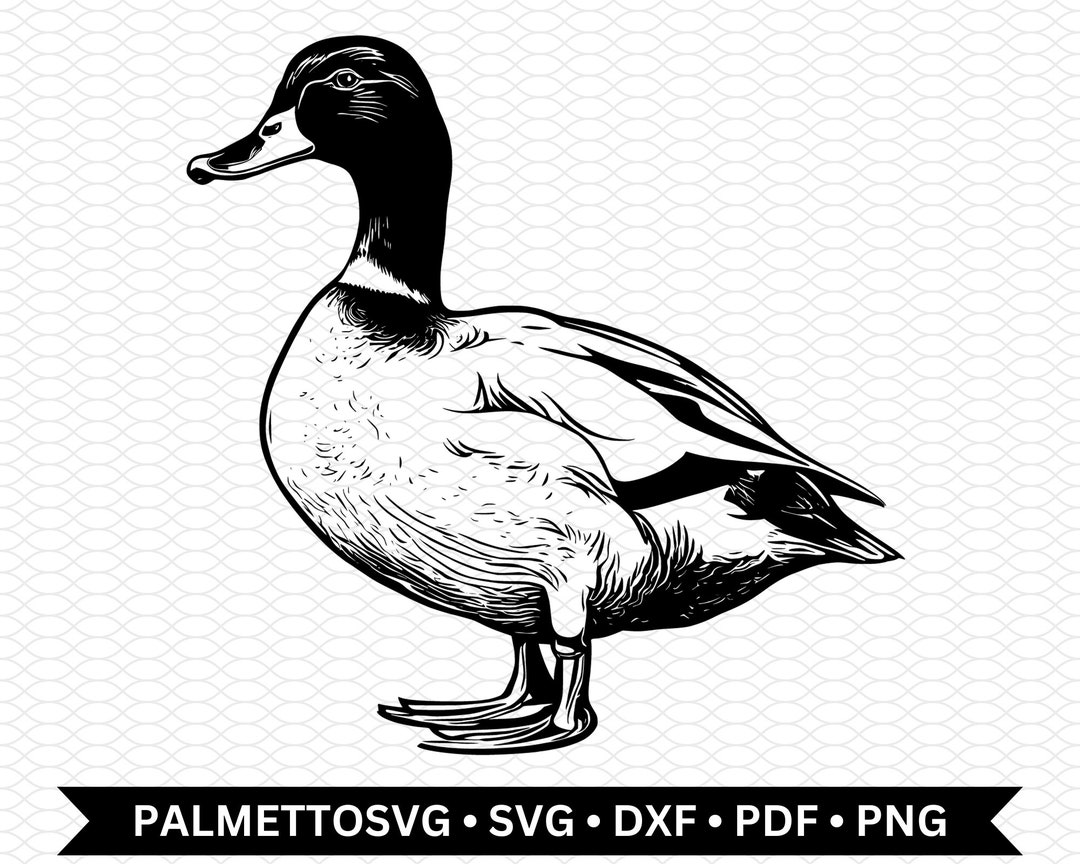 Duck Svg, Duck Dxf, Duck Cut File, Duck Png, Duck Clip Art, Cricut ...