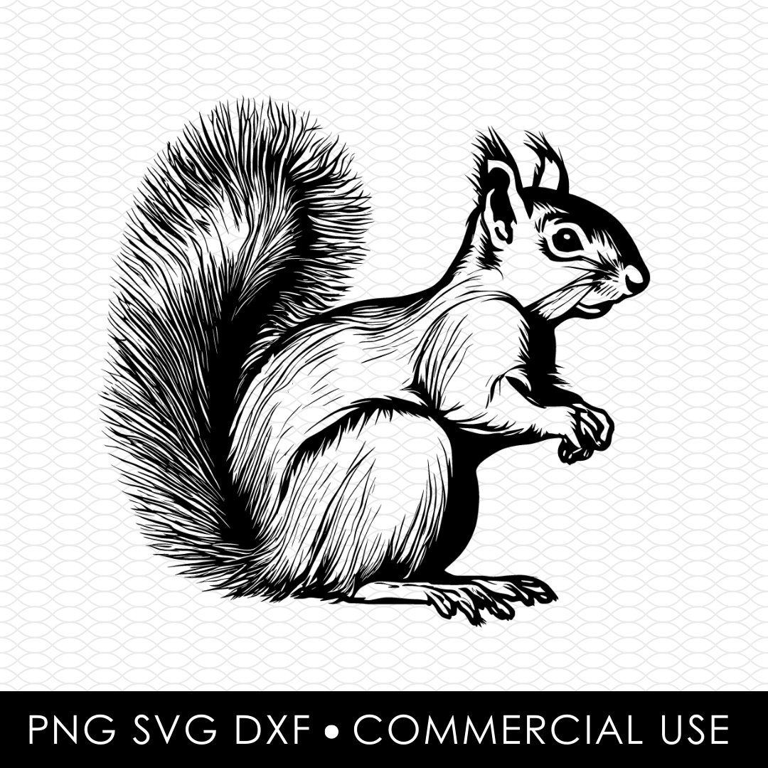 Squirrel Svg, Squirrel Png, Squirrel Dxf, Squirrel Cut File, Squirrel ...