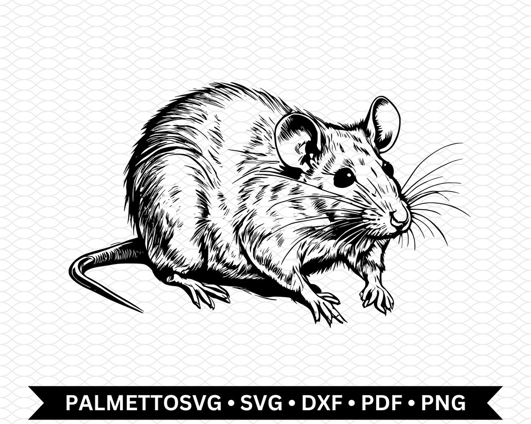 Rat Svg Png, Sublimation Designs, Png Designs, Svg Designs, Laser Cut ...