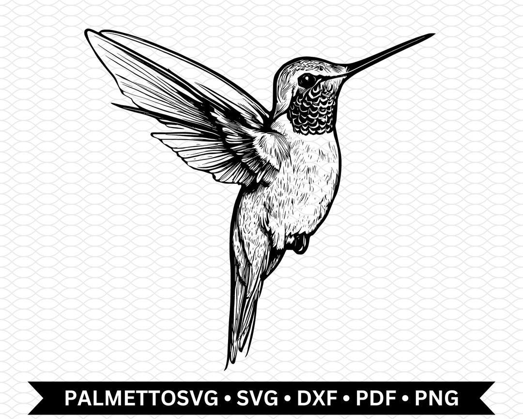 Hummingbird Svg, Hummingbird Dxf, Hummingbird Cut File, Hummingbird Png ...