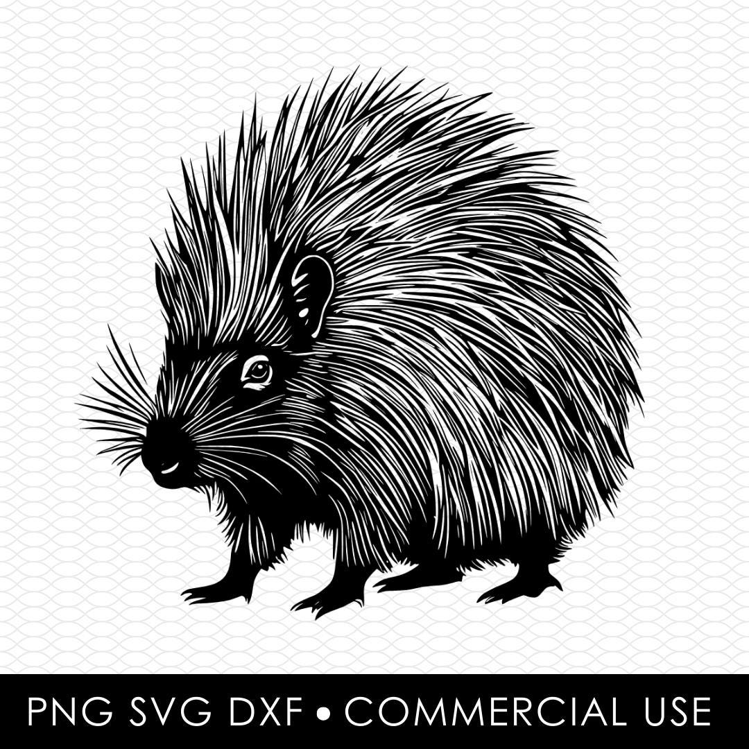 Porcupine Svg Png, Porcupine Svg, Porcupine Png, Sublimation Designs ...