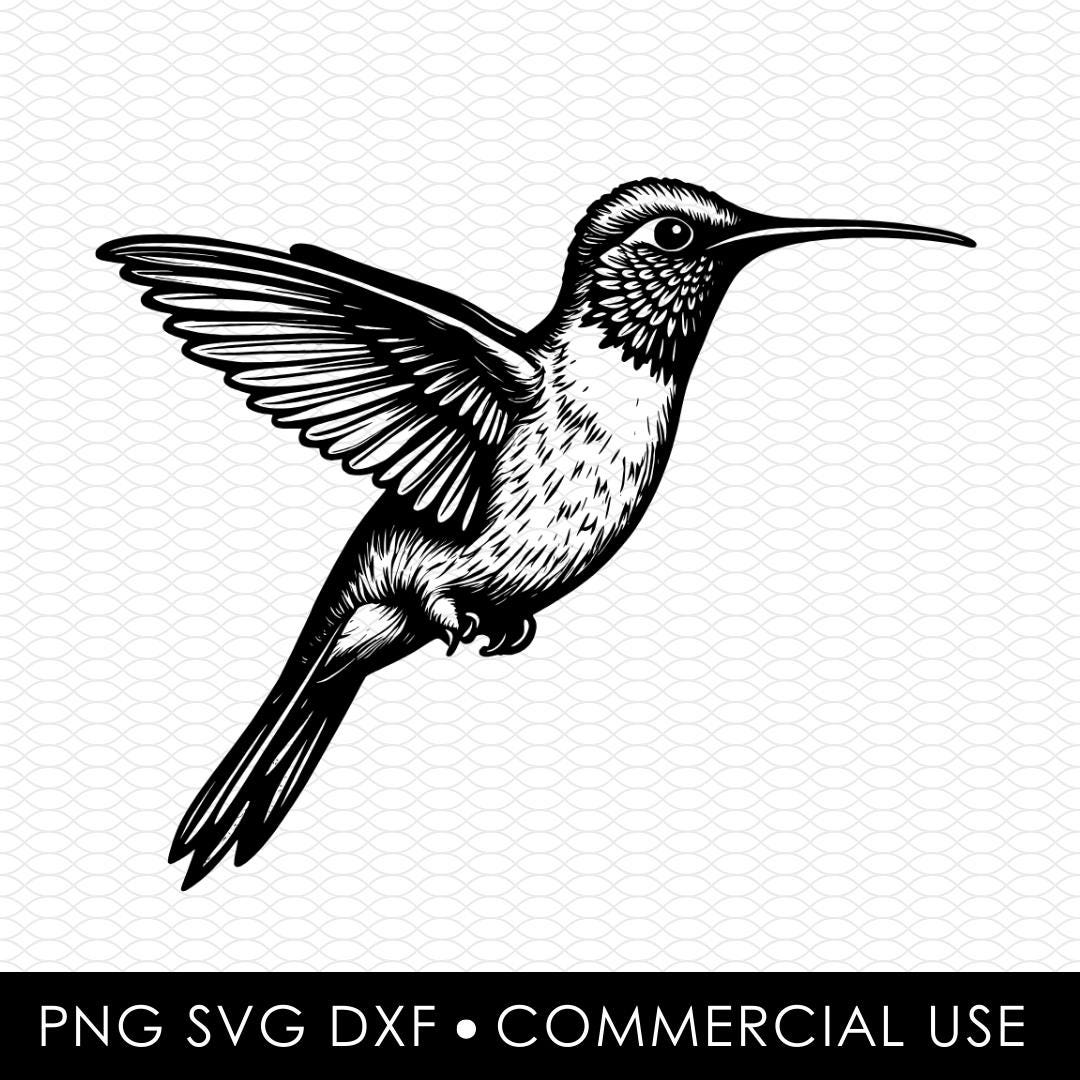 Hummingbird Svg Png, Hummingbird Svg, Hummingbird Png, Sublimation ...