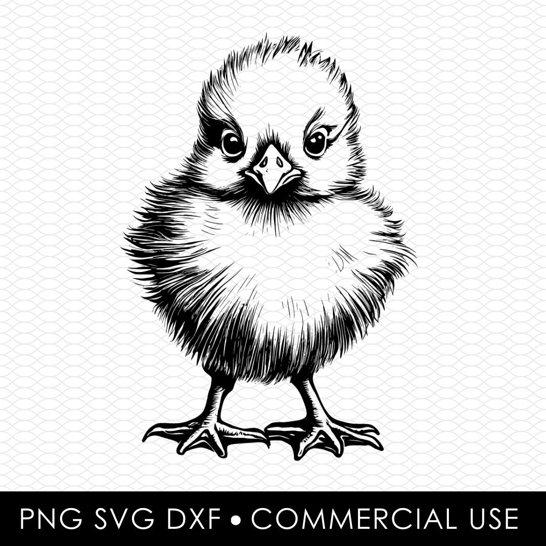 Chick Svg Png, Sublimation Designs, Png Designs, Svg Designs, Laser Cut ...