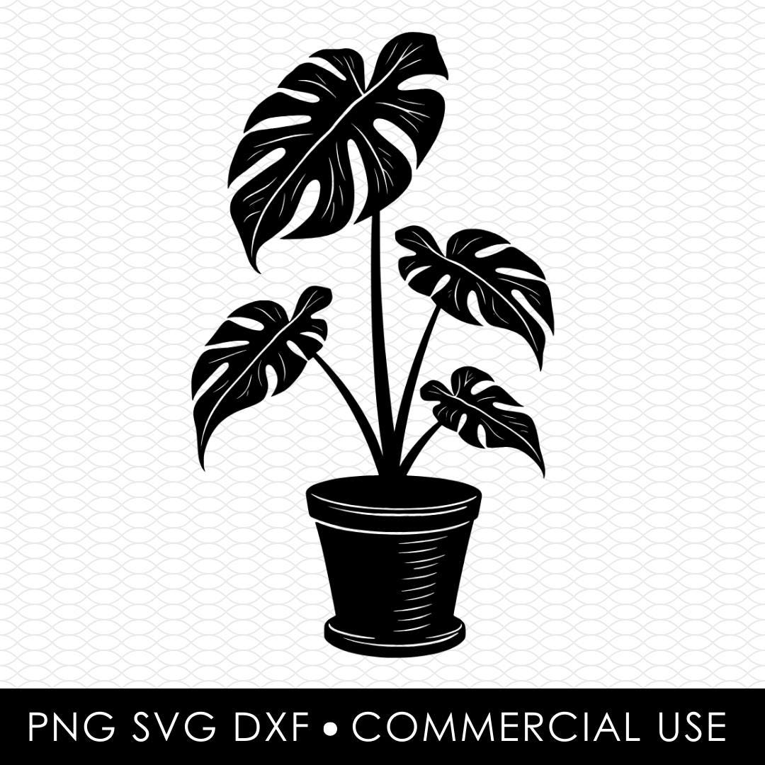 Monstera Svg, Monstera Png, Monstera Sublimation Designs, Png Designs ...