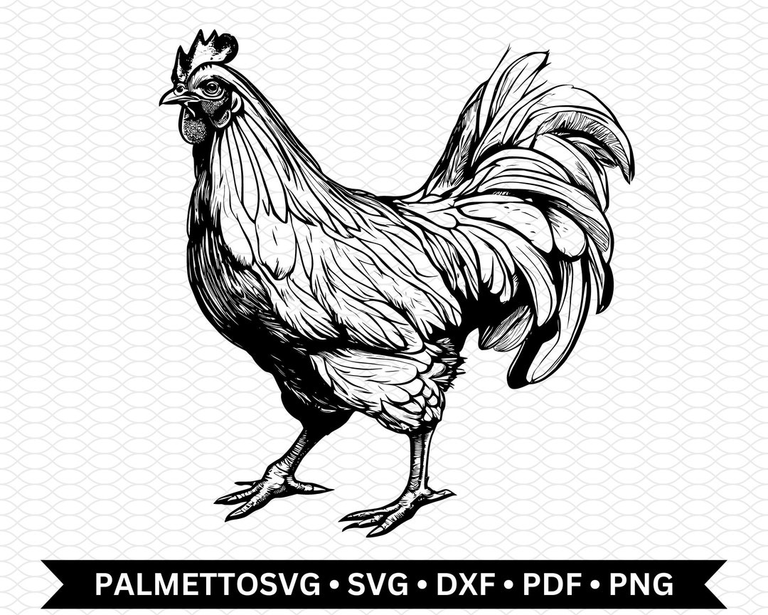 Chicken Svg, Chicken Cut File, Chicken Clip Art, Chicken Dxf, Dxf File ...