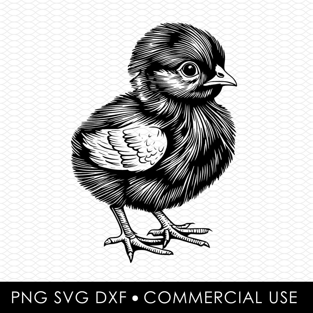 Chick Svg, Chicken Svg, Chick Png, Sublimation Designs, Png Designs ...