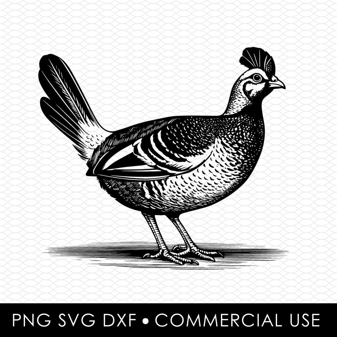 Quail Svg Png, Sublimation Designs, Png Designs, Svg Designs, Laser Cut ...