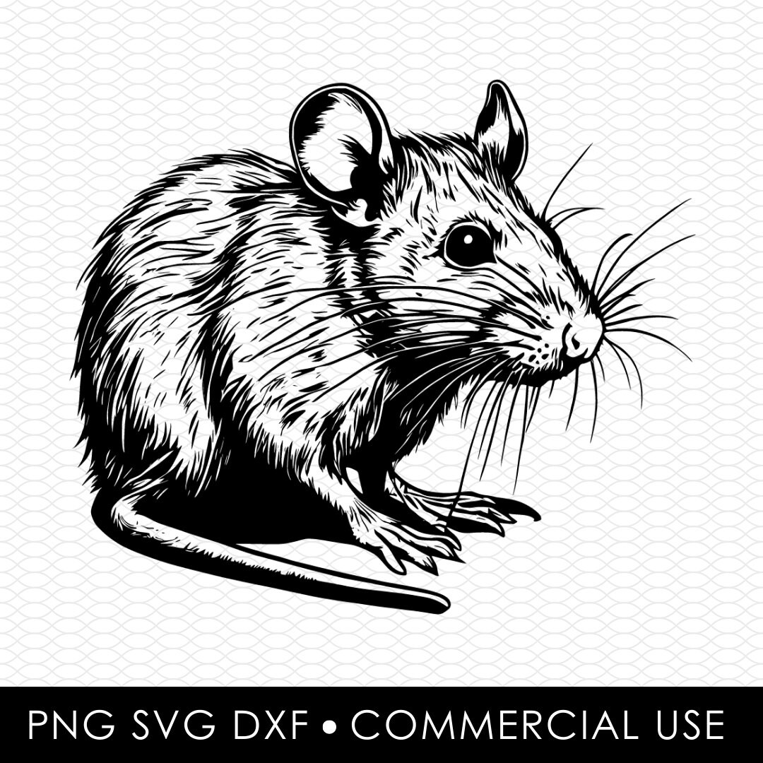 Rat Svg, Rat Png, Rat Cut File, Sublimation Designs, Png Designs, Svg ...