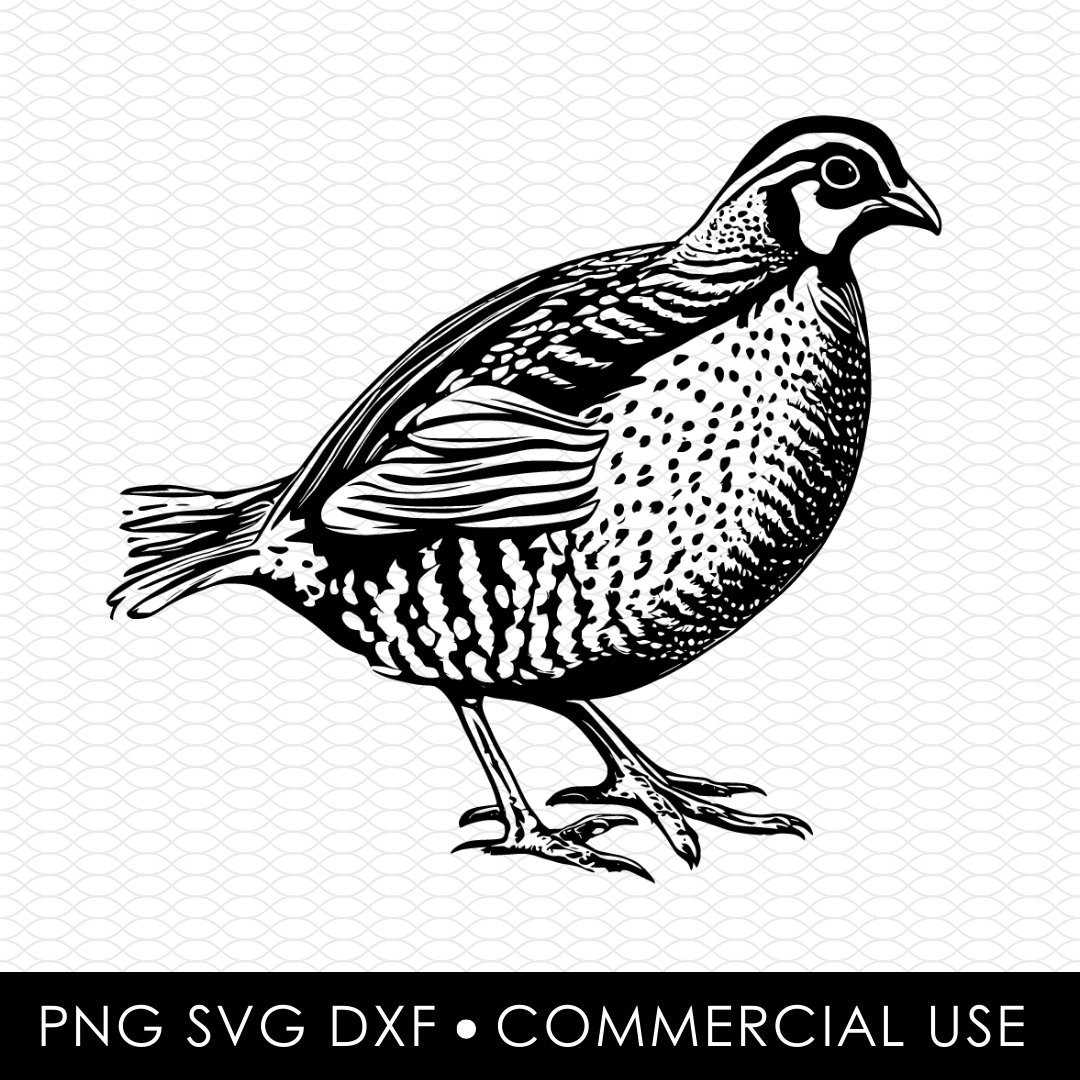 Quail Svg Dxf Png, Laser Cut File, Sublimation Design, Svg Cut File ...