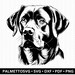 Lab Svg, Lab Dxf File, Lab Cut File, Lab Clip Art, Lab Png, Hunting Dog ...