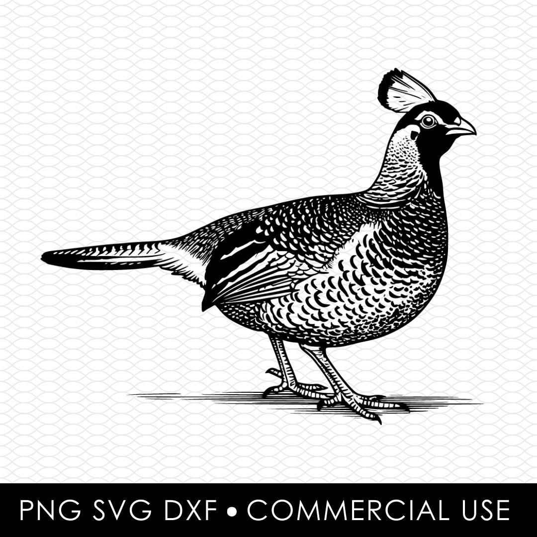 Quail Svg Png, Sublimation Designs, Png Designs, Svg Designs, Laser Cut ...