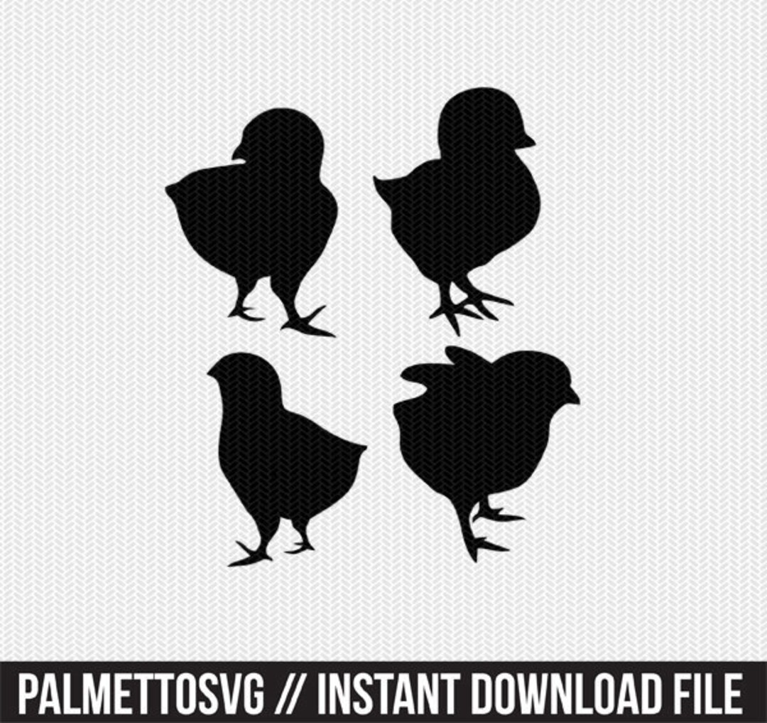 Chicks Svg, Chicken Svg, Easter Svg, Chick Svg, Chick Dxf, Svg Files ...